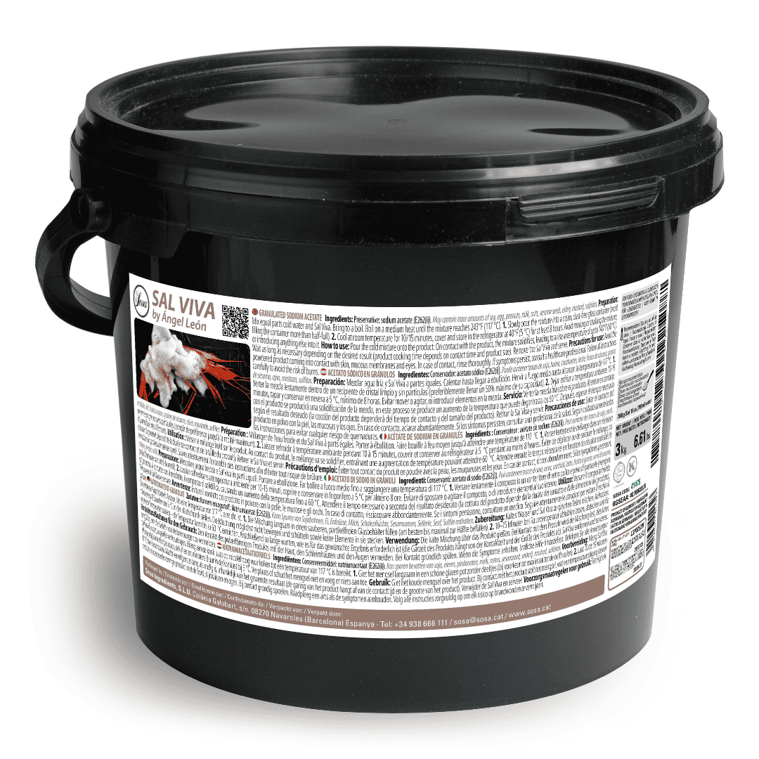 LIVING SALT BY ANGEL LEON - Sosa