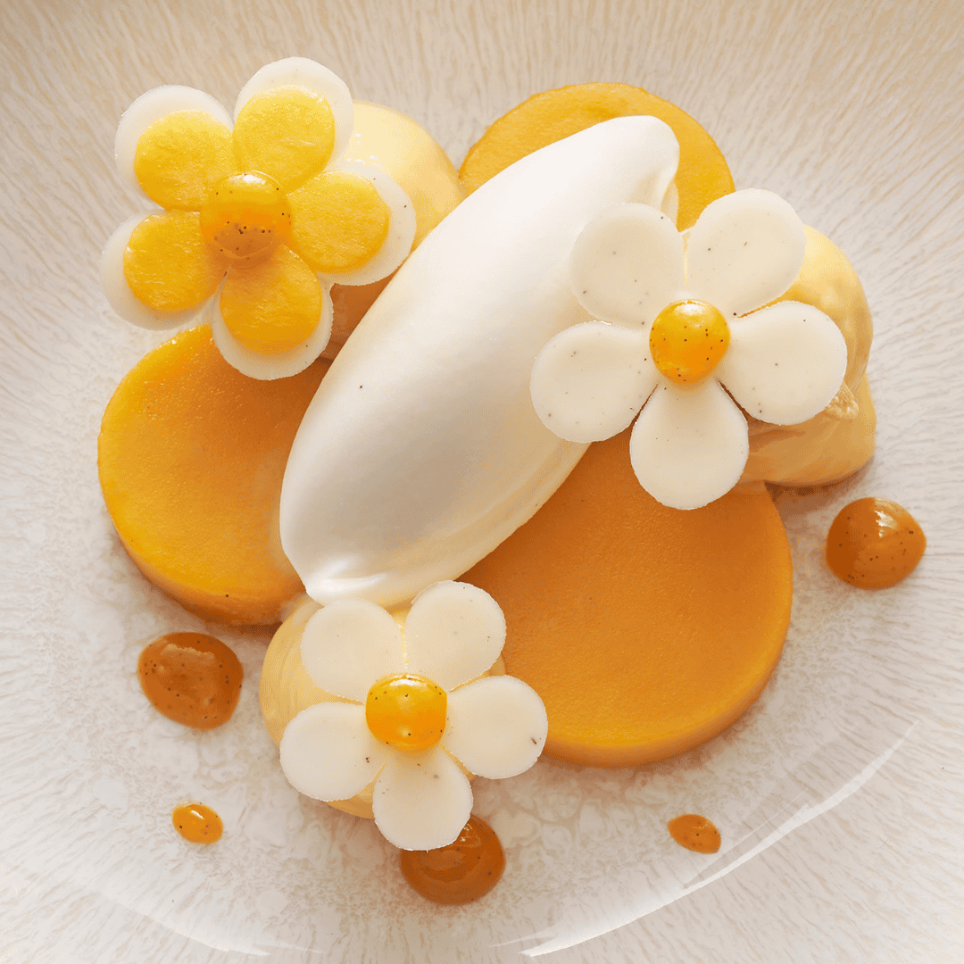 Passion Yogurt Frozen Dessert - Sosa